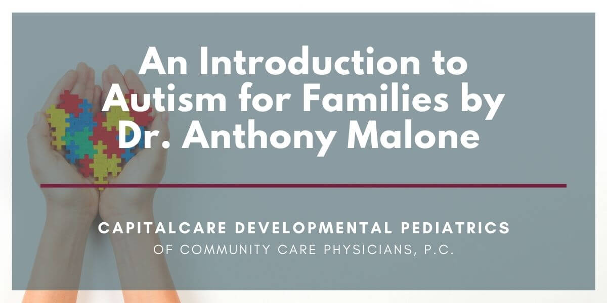 An Introduction to Autism